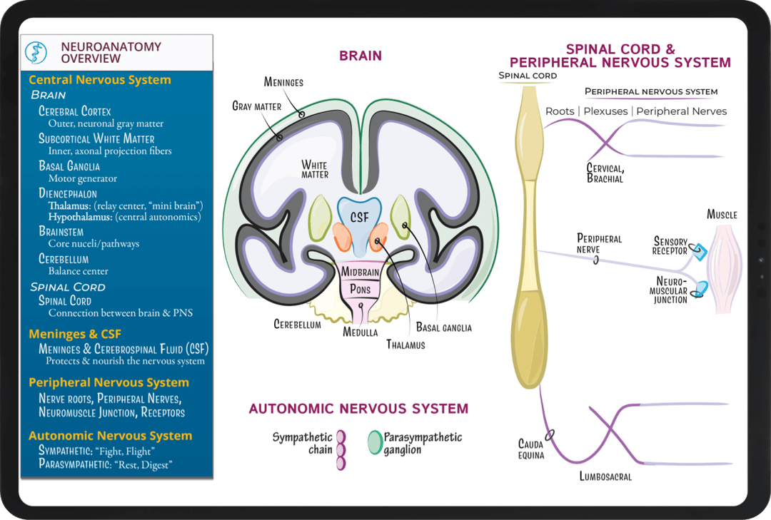 Medical Sciences Education | TDS Health