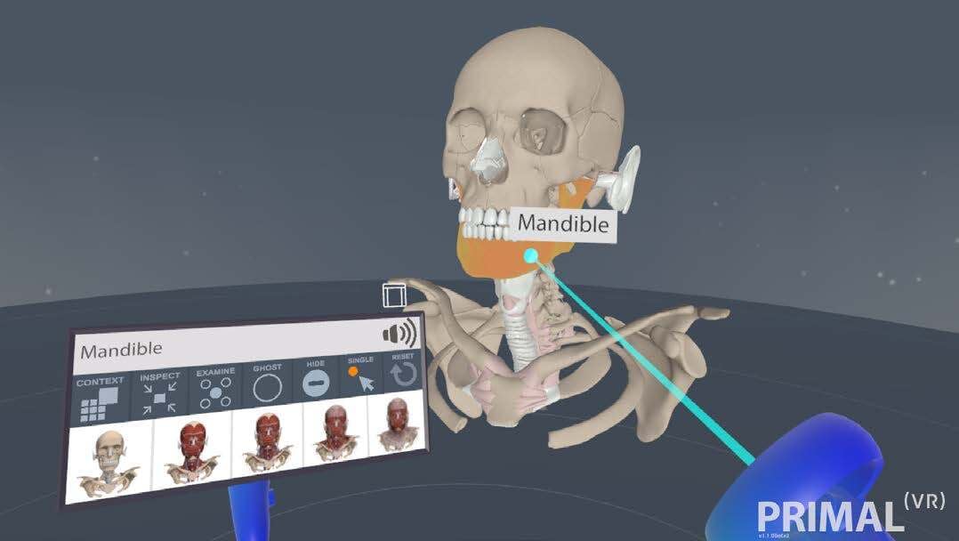 Learning Anatomy with Primal | TDS Health